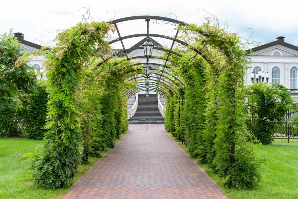 How do you set up a garden arch? Best plants for the arch?